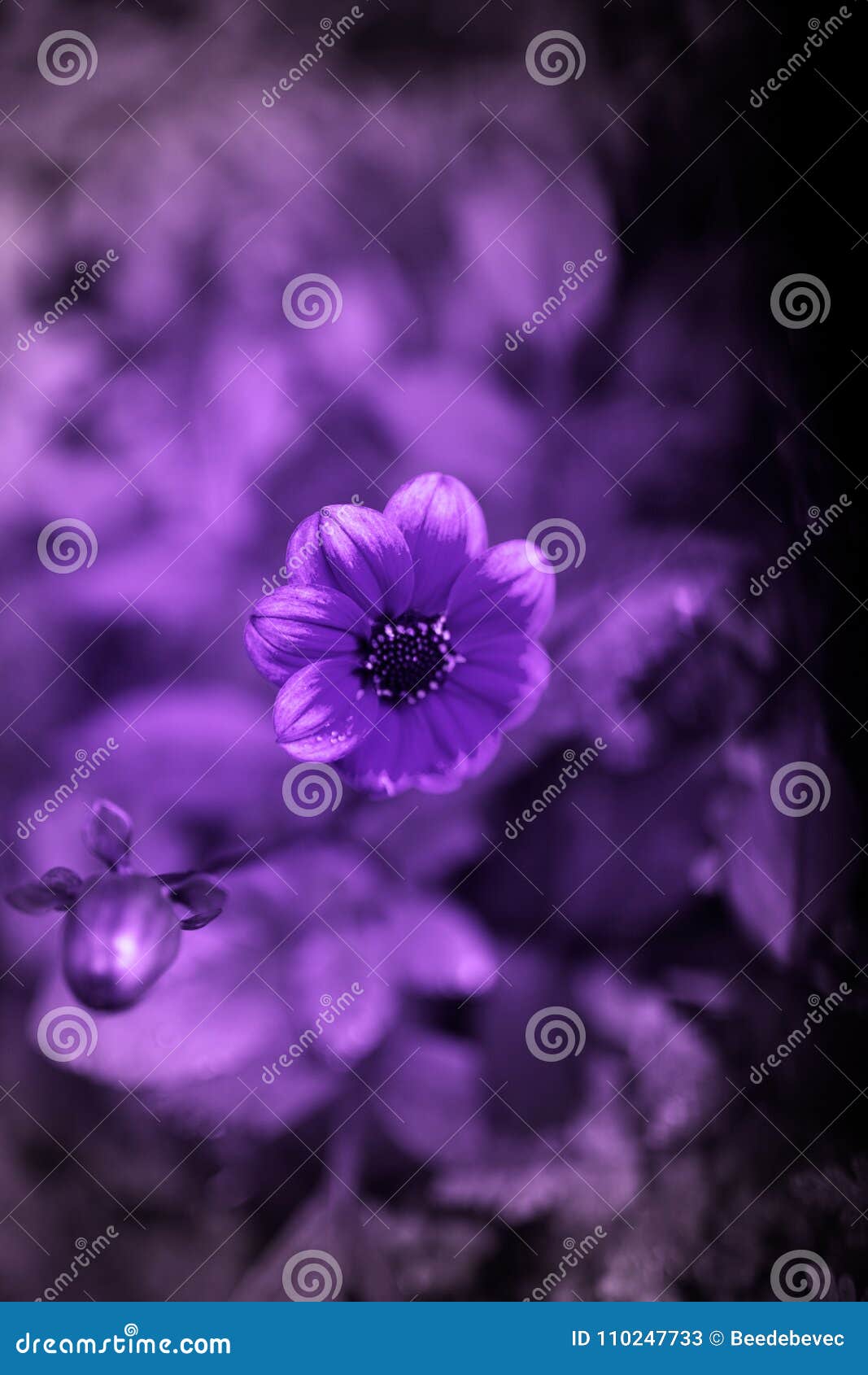 Pantone Trend Ultraviolet 2018, Abstract Background Stock Image - Image ...