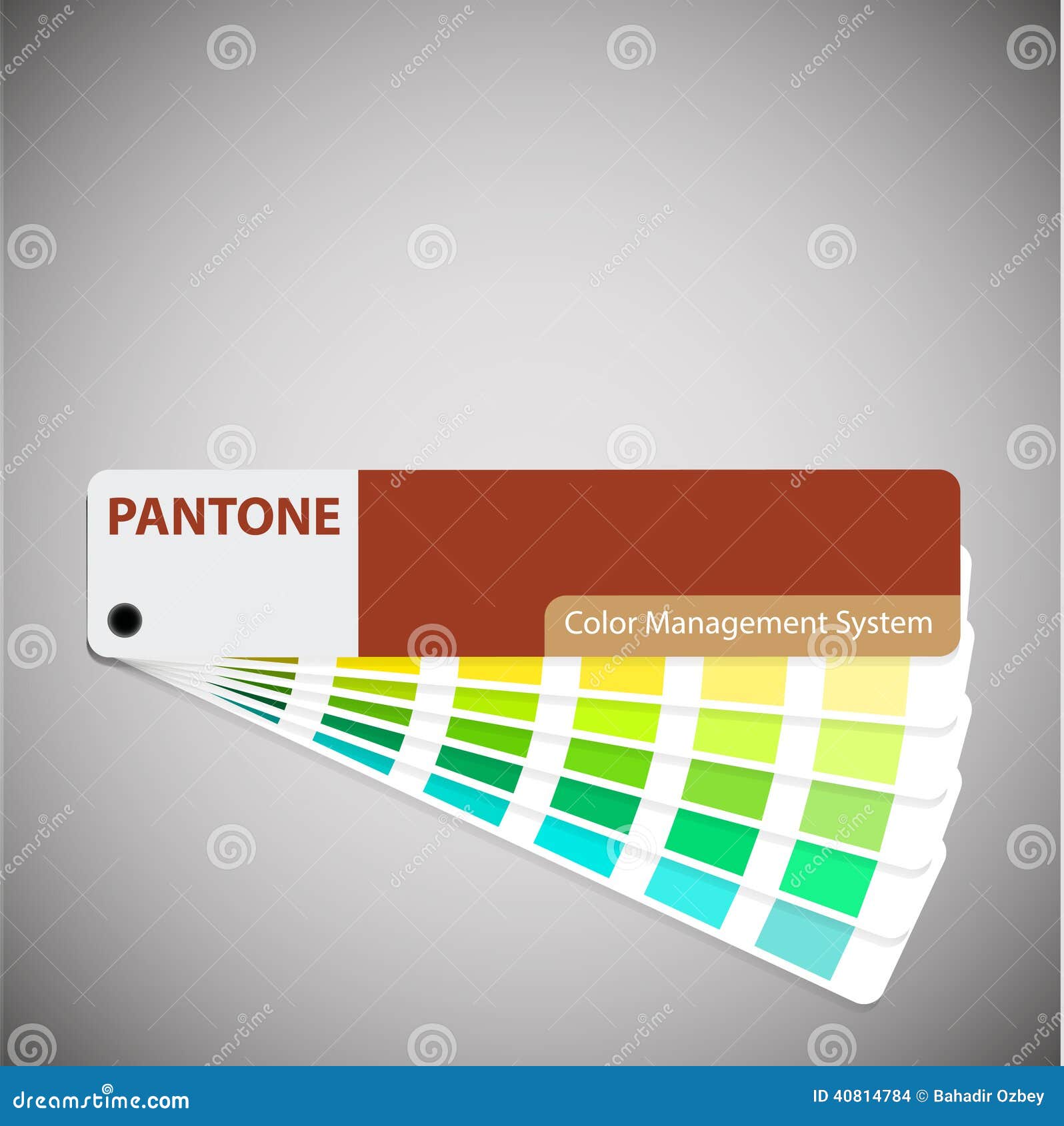 Pantone Vector Illustration | CartoonDealer.com #40814784