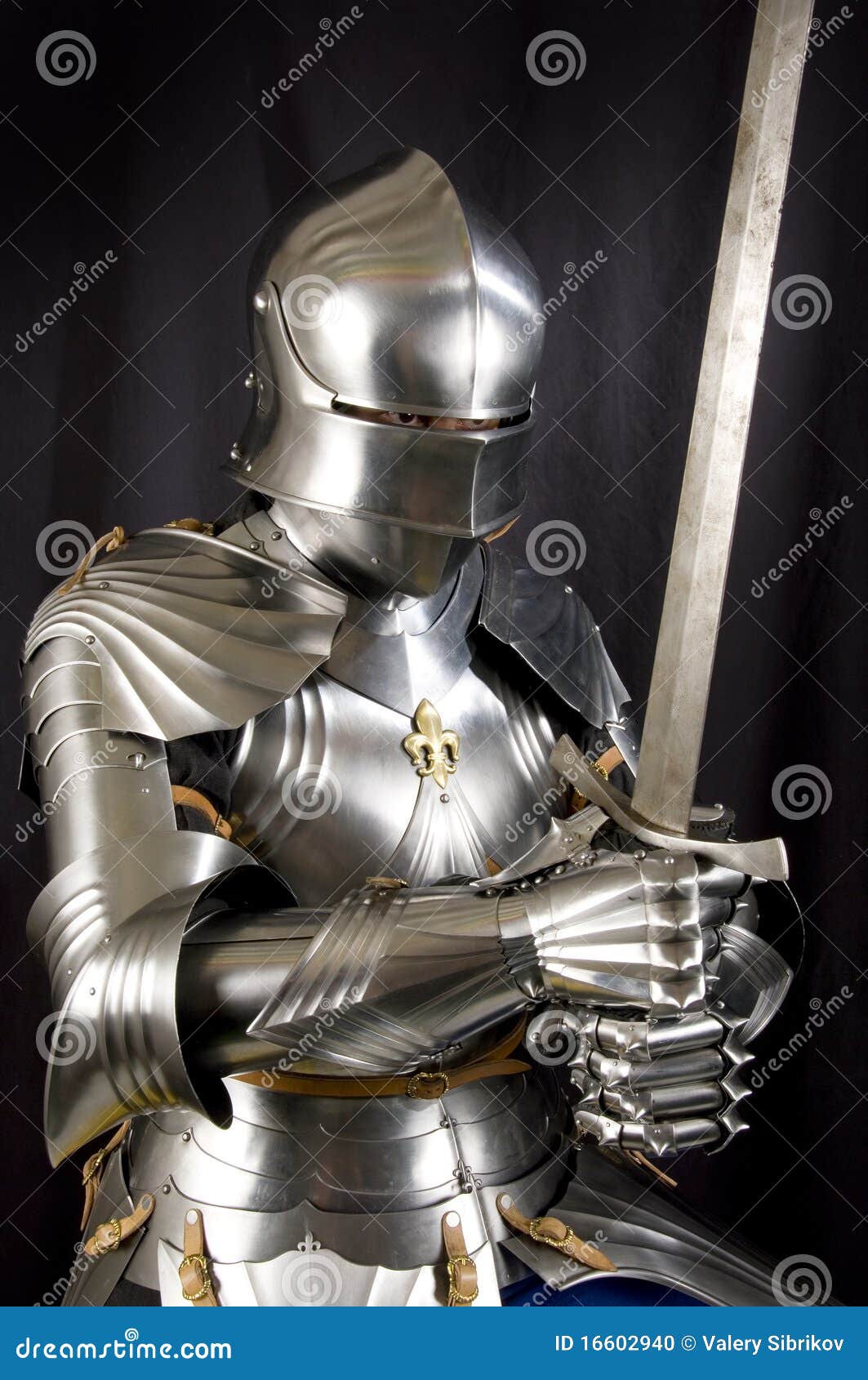 Pantser stock foto. Image of bescherming, ijzer, pantser - 16602940