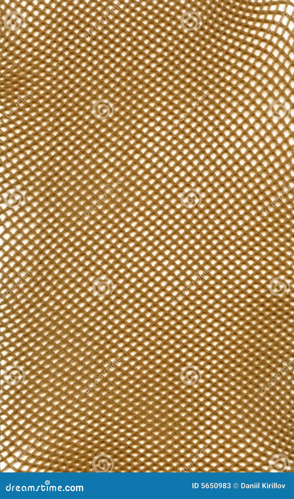 Pantyhose Texture Stock Photos - Image: 5650983