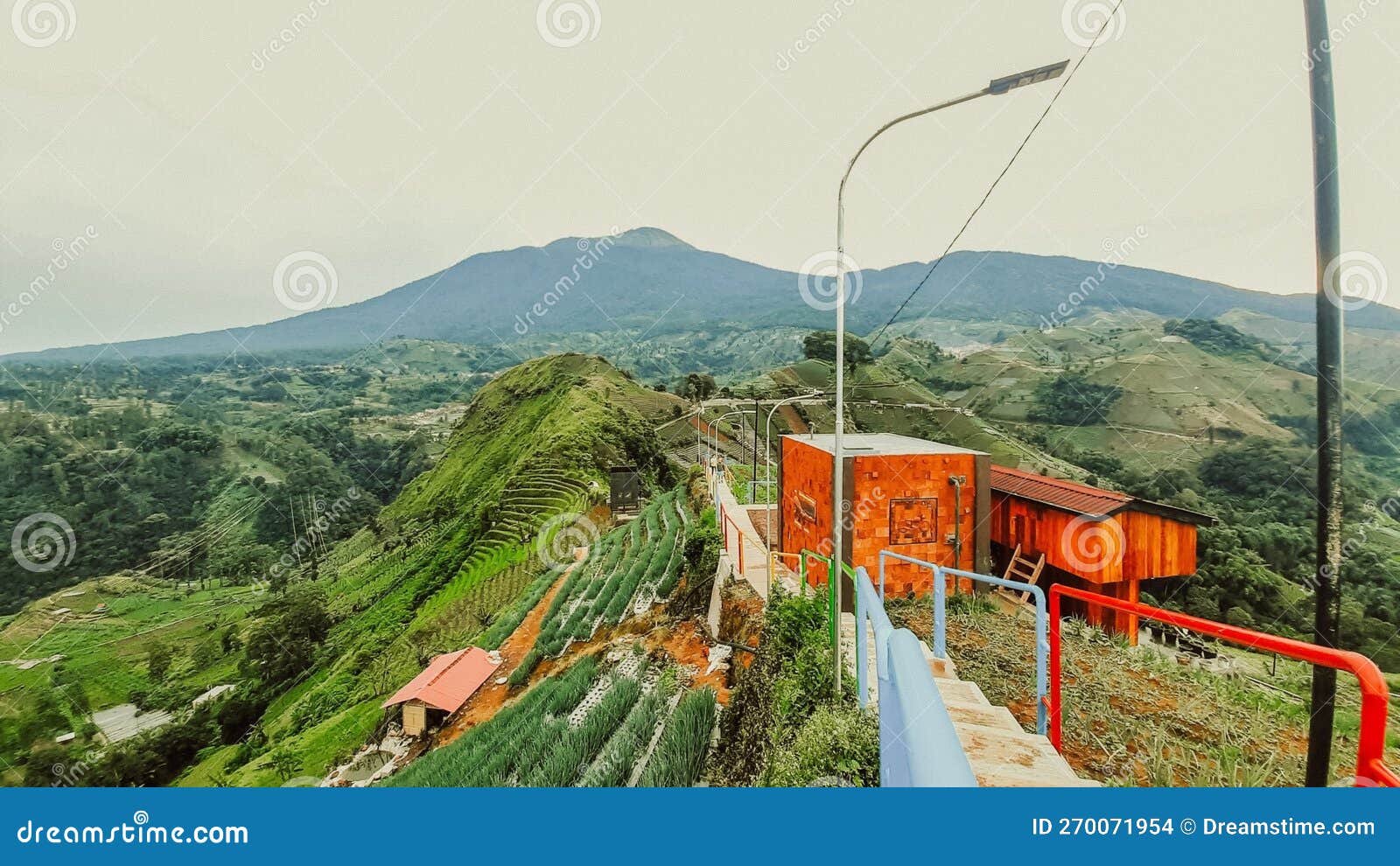 Panyaweuyan Terracing Onion Farming Stock Photo - Image of mountain ...