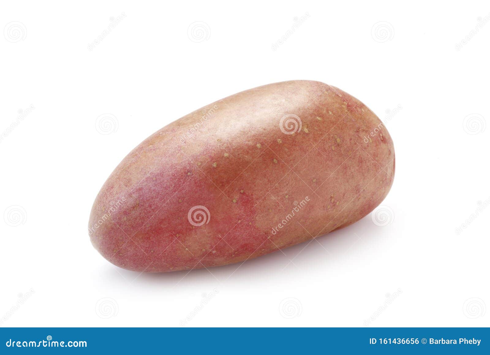 Papa Rojo foto de archivo. Imagen de ingredientes, comer - 161436656