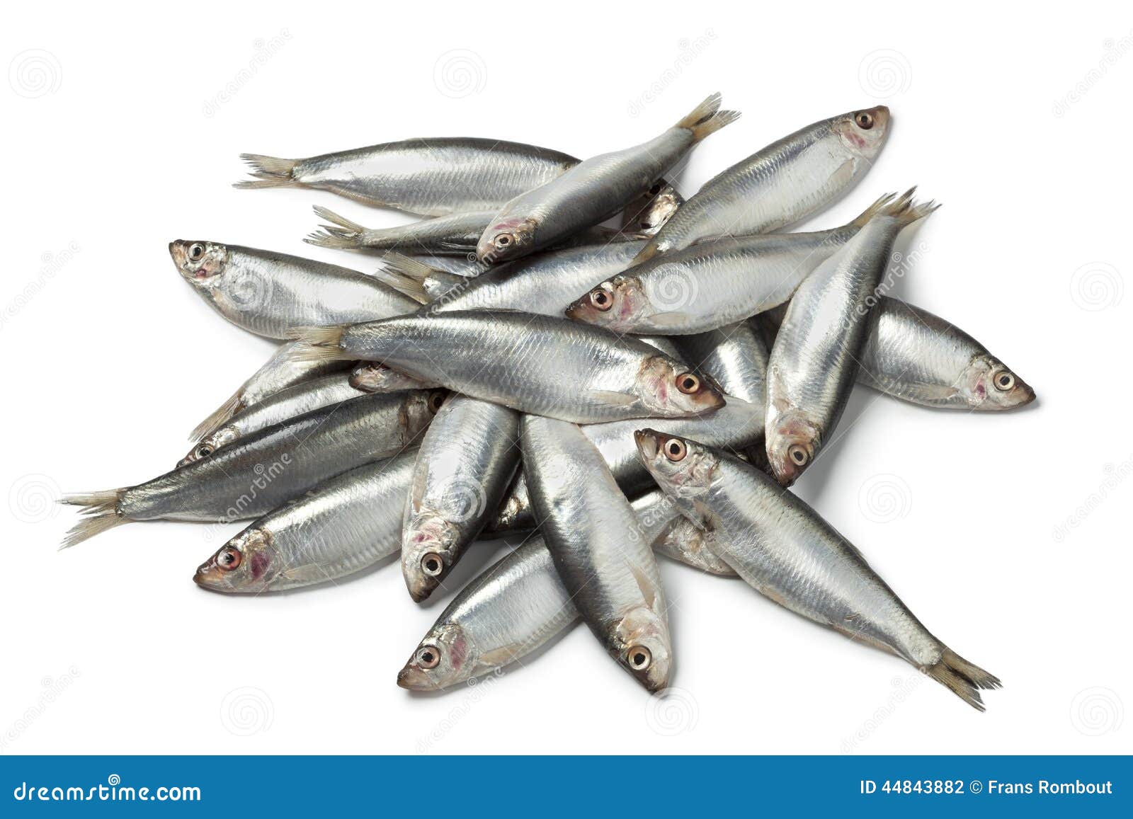 Papaline crude fresche fotografia stock. Immagine di fresco - 44843882