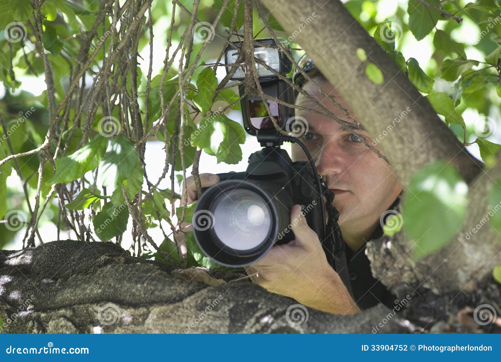 Paparazzi Photographer Behind Tree Stock Photography - Image: 33904752