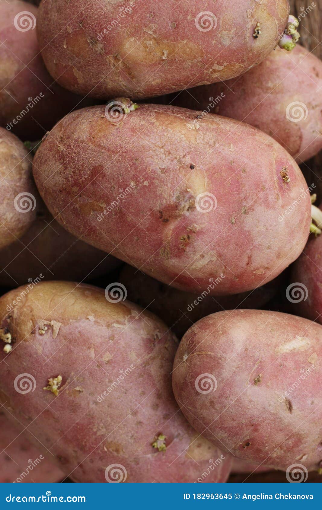 Papas Rojas En Una Macro De Mesa De Madera Imagen de archivo - Imagen ...
