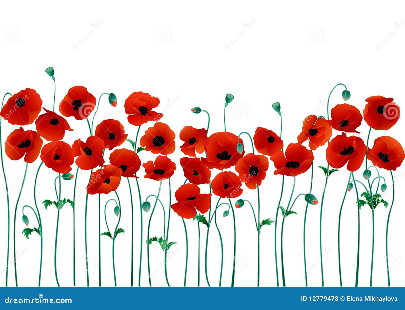 Papaveri illustrazione vettoriale. Illustrazione di floreale - 12779478