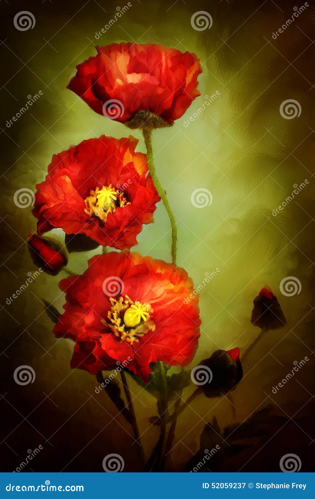 Papaveri illustrazione di stock. Illustrazione di colore - 52059237