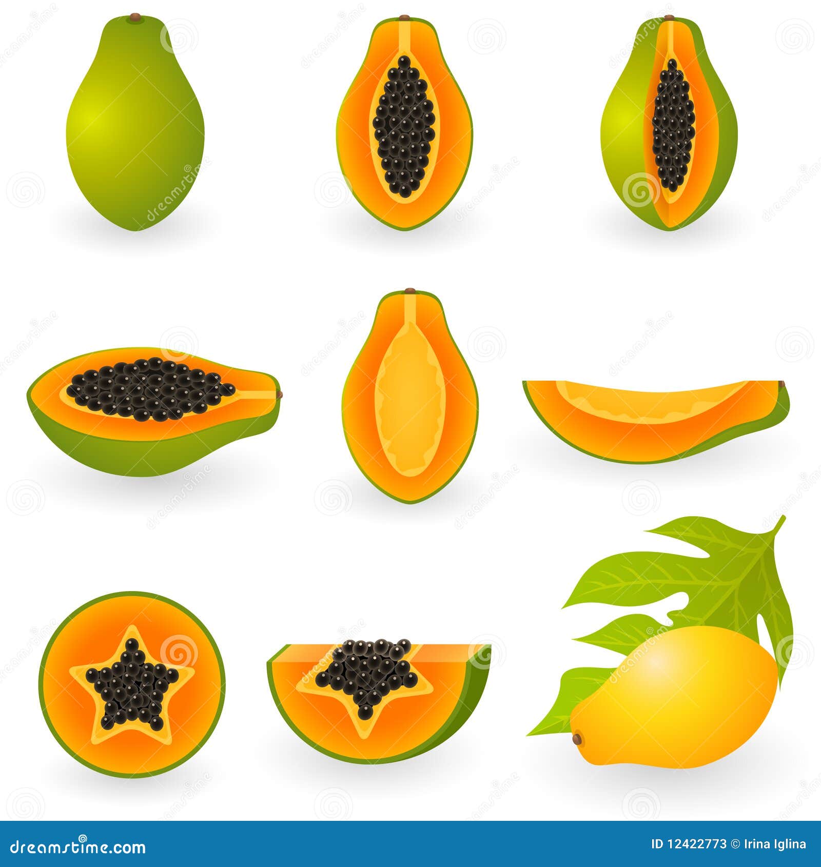 Papaya stock vector. Illustration of background, colored - 12422773