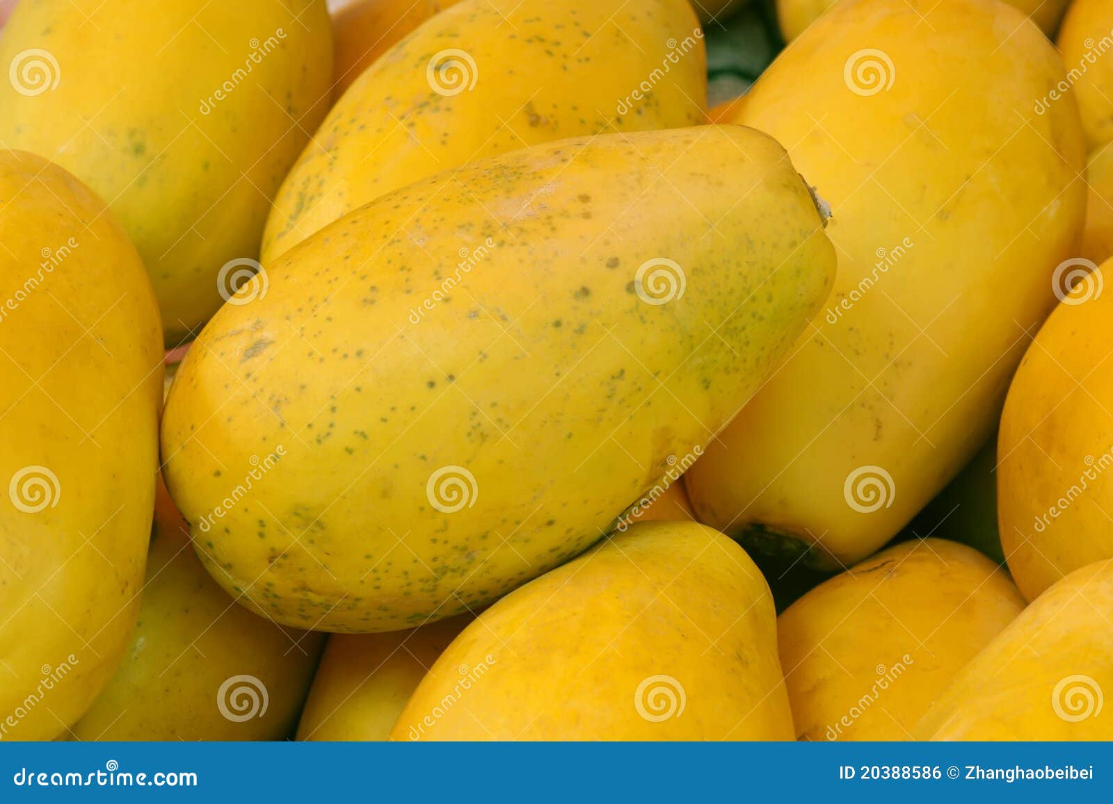 Papaya stock photo. Image of juicy, close, fresh, tropical - 20388586