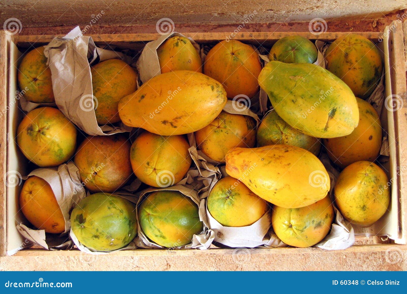 Ripe Papayas stock photo. Image of golden, food, exotic - 60348