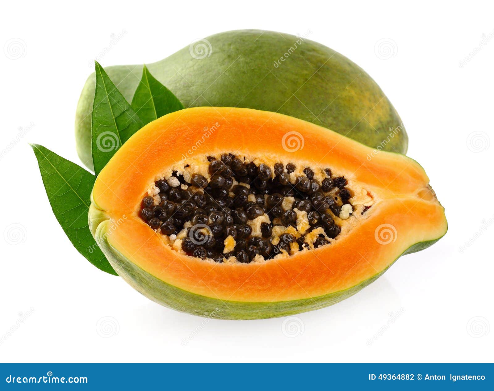 Papaya Fruit Disease, Anthracnose Caused By Fungi Stock Photography ... Papaya Fruit Disease, Anthracnose Caused By Fungi Stock Photography ...