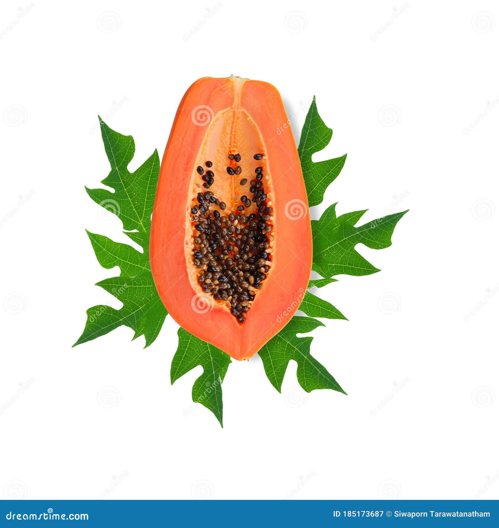 Papaya Fruit Top View on a White Background Stock Image - Image of ...