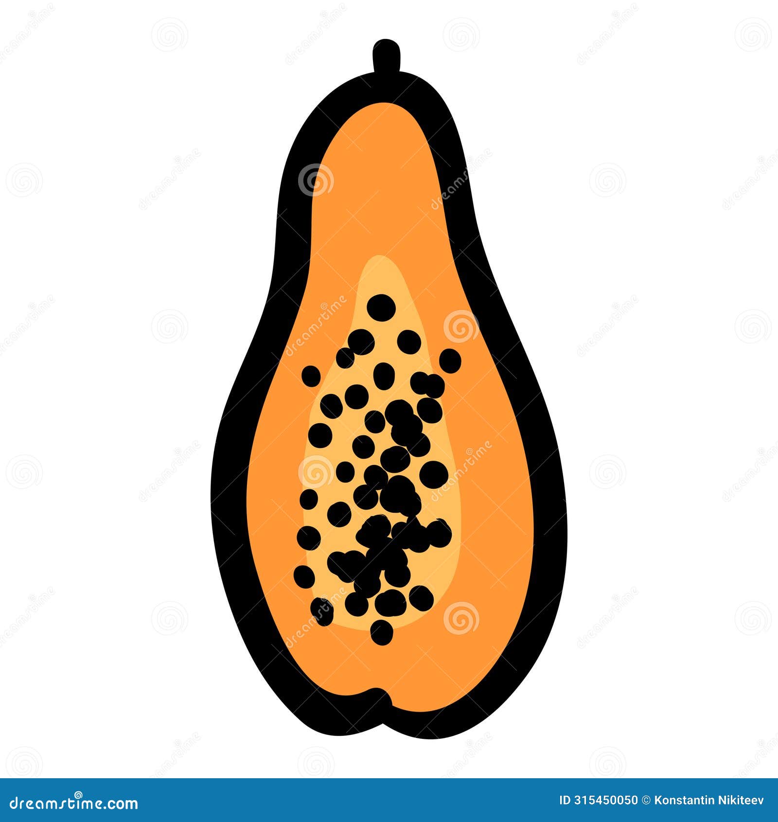 Papaya Hand Draw Vector Set. | CartoonDealer.com #188260414