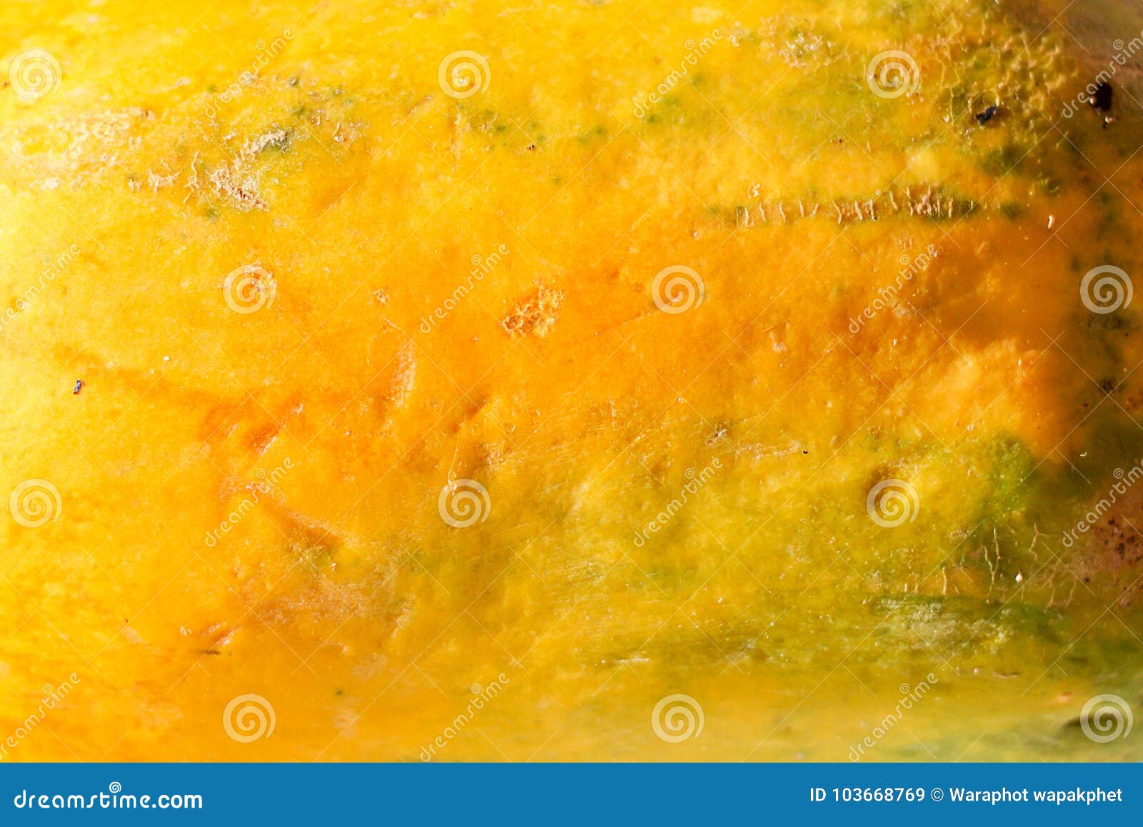 Papaya Texture Stock Image | CartoonDealer.com #38840671
