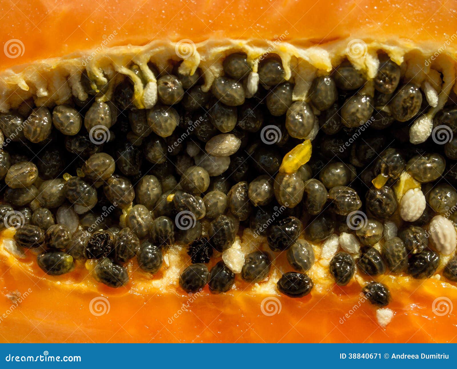 Papaya Texture Stock Image | CartoonDealer.com #38840671