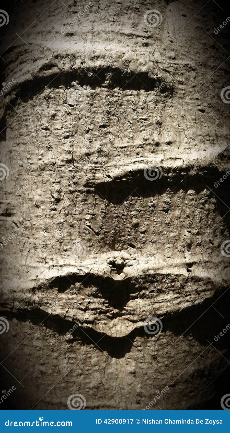 Papaya tree texture stock image. Image of papaya, fruit - 42900917