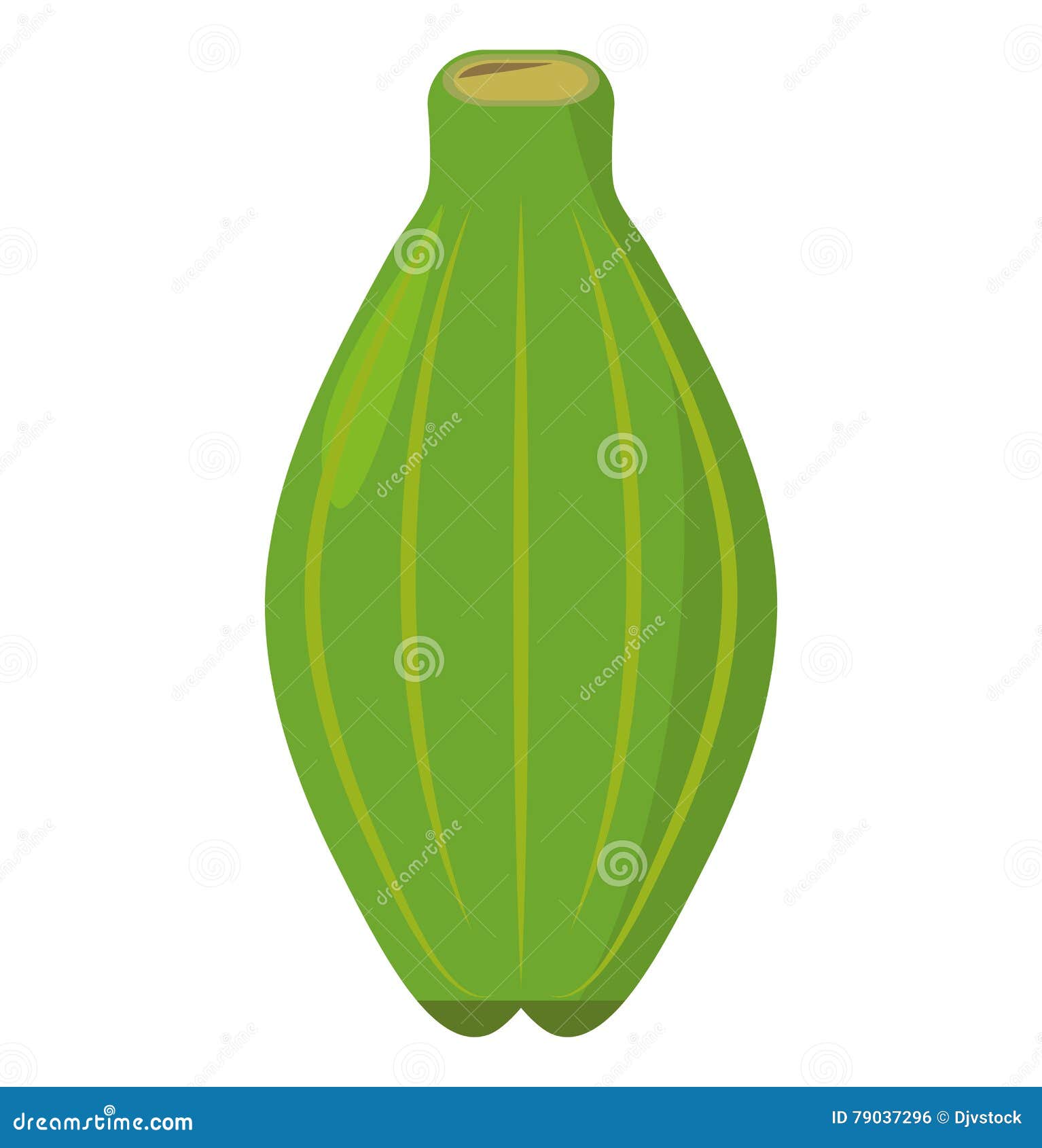 Papaya tropical fruit icon stock vector. Illustration of natural - 79037296