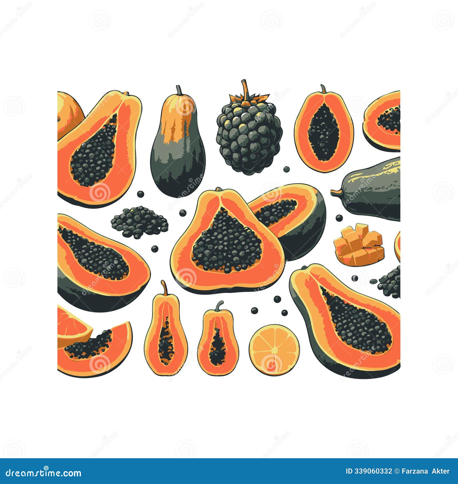 Papaya Vector Drawing. Hand Drawn Tropical Fruit Illustration ...