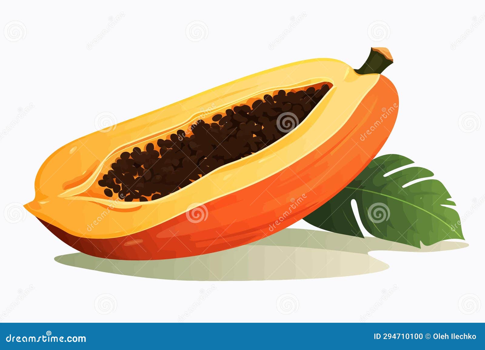 Papaya Vector Flat Minimalistic Asset Isolated Vector Style ...