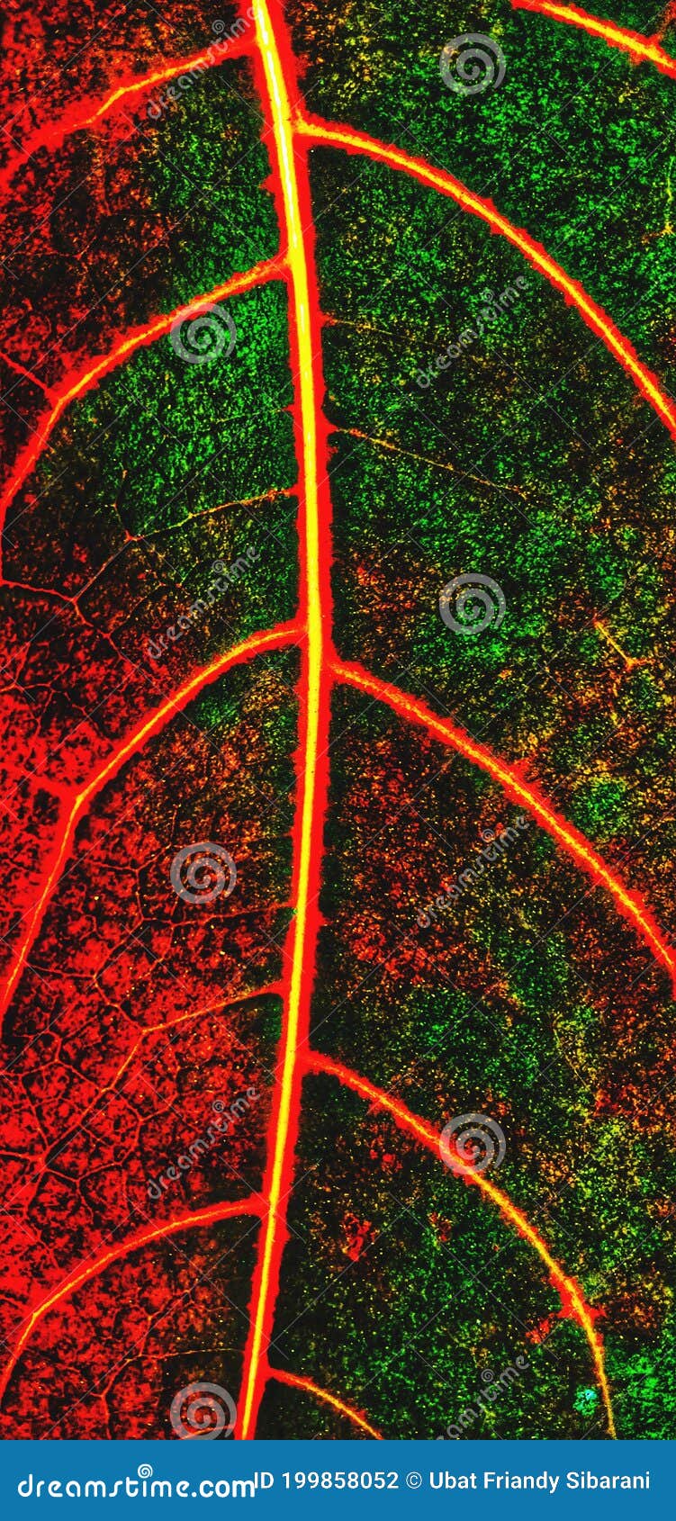 Papel De Parede Com Texturas Bonitas E Atraentes Foto de Stock - Imagem ...