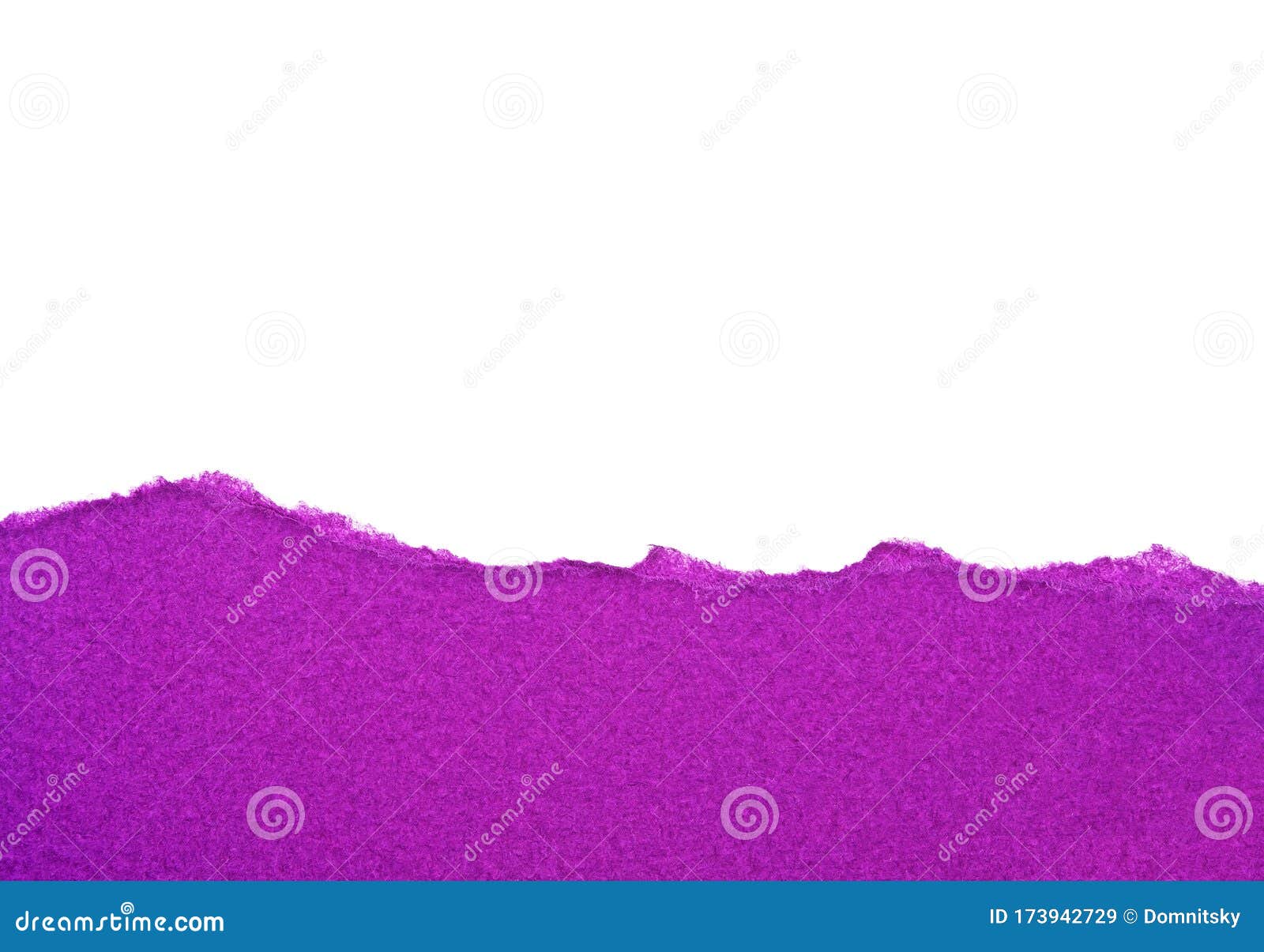Papel Lacerado Violeta Para Sus Ejemplos Imagen de archivo - Imagen de ...