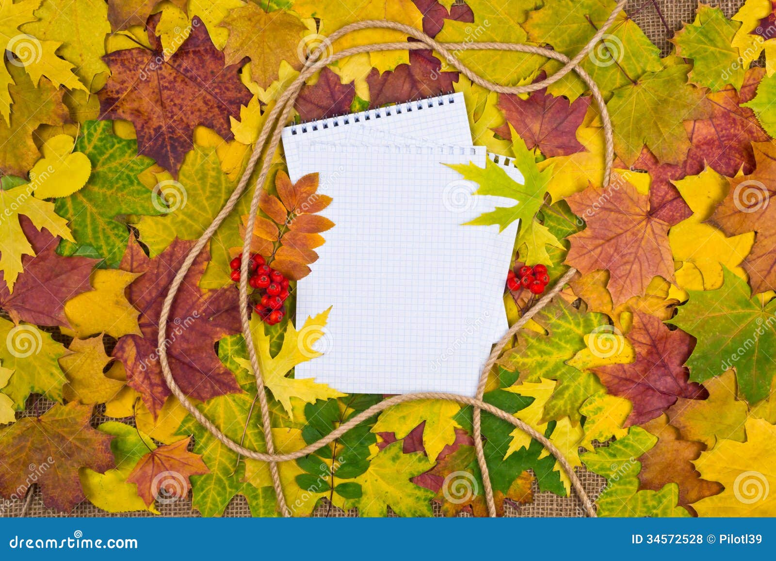 Paper in the Autumn Background Stock Photo - Image of form, season ...