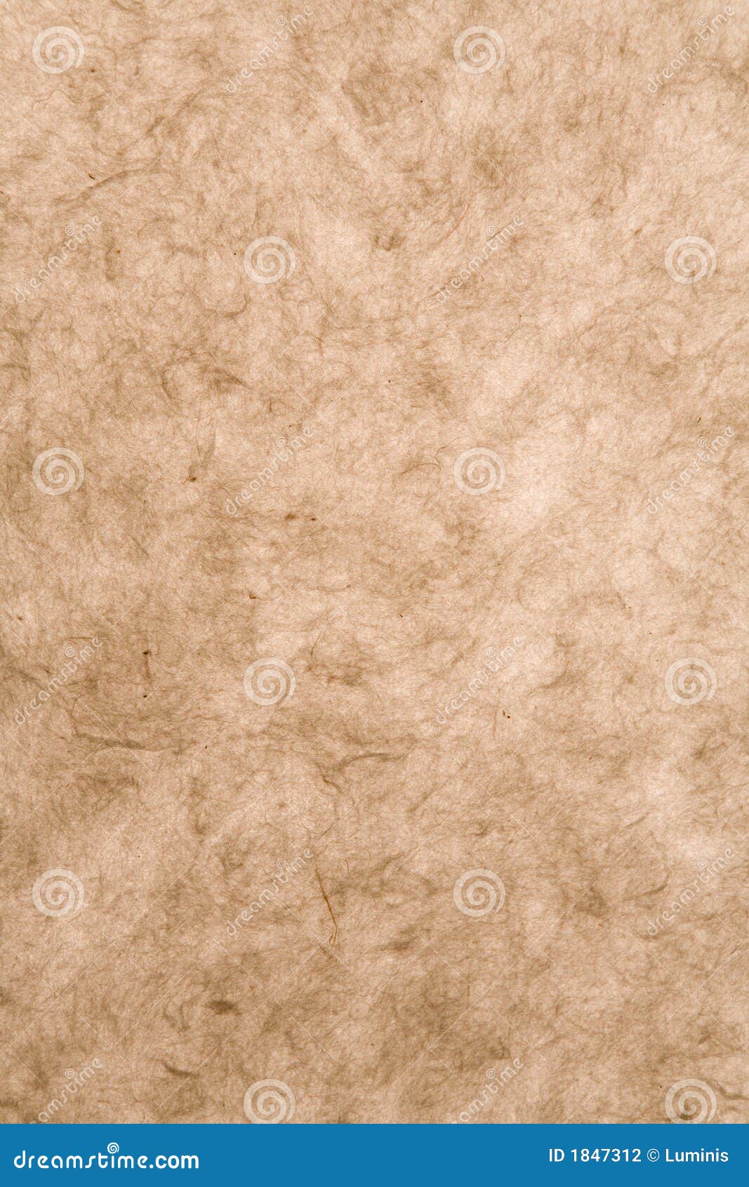 Paper Background stock photo. Image of wood, abstract - 1847312