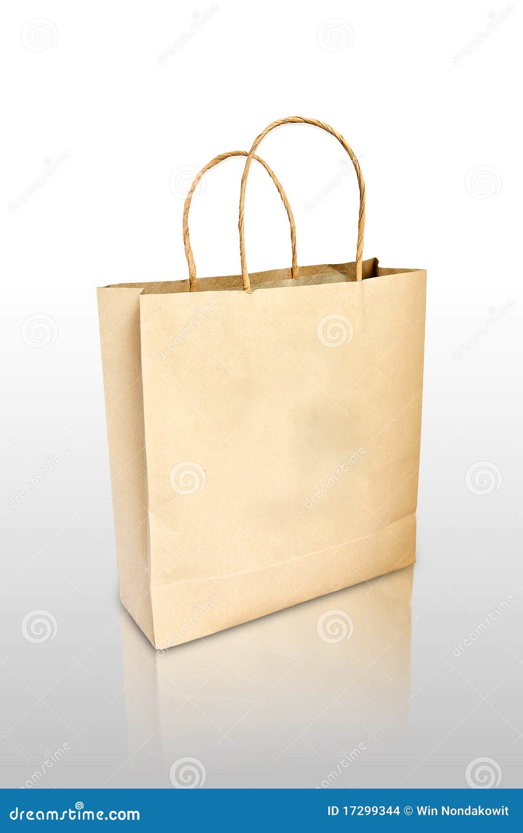 Paper Bag Picture. Image: 17299344