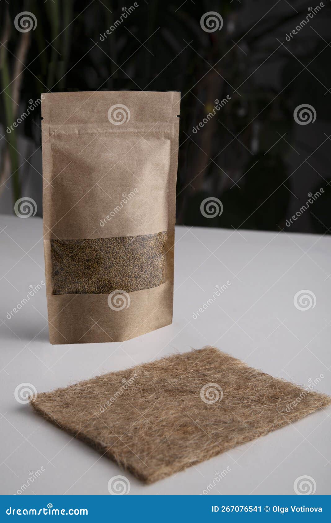 A Paper Bag with Seeds for Planting. a Mat for Growing Microgreens ...