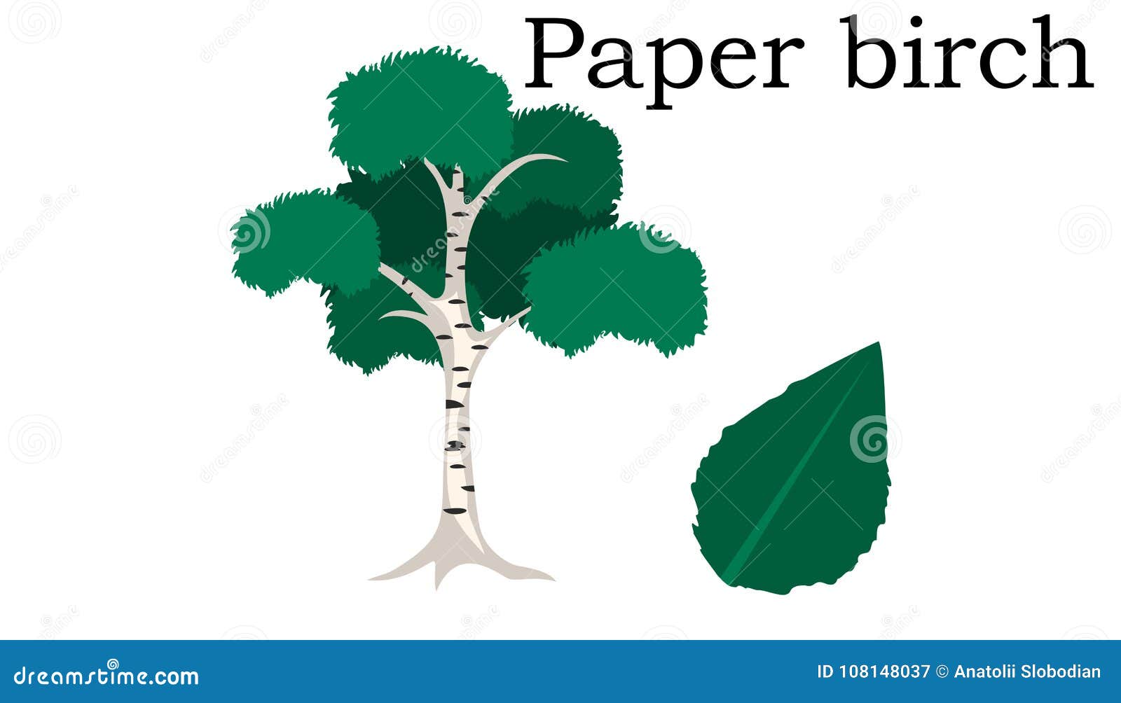 Paper Birch Trees Vector Element. Vector Icon Stock Vector ...