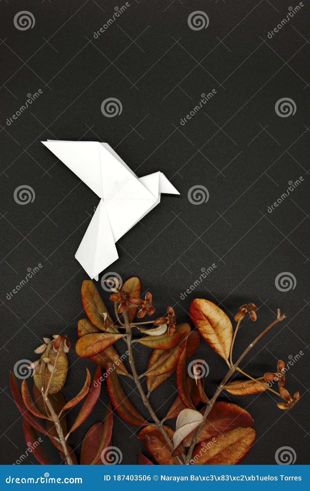 Paper Bird In Black Background. Origami Concept Royalty-Free Stock ...