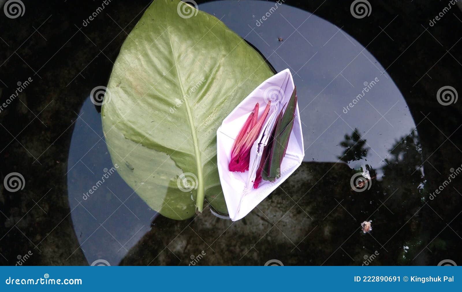 Paper Boat with Flowers and Leaf, on the Water, Design. Stock Image ...