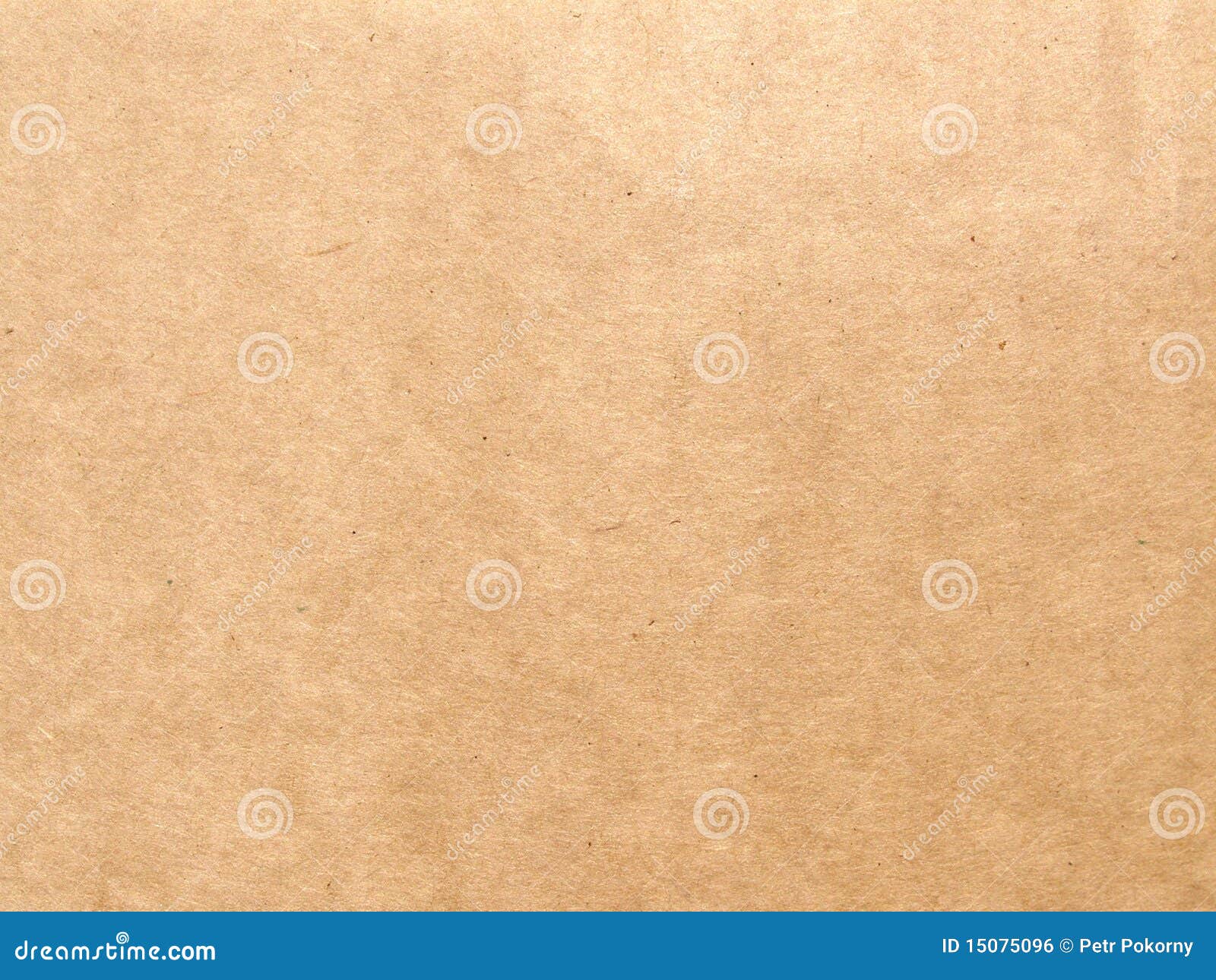 Egg Carton Royalty-Free Stock Photo | CartoonDealer.com #41349957