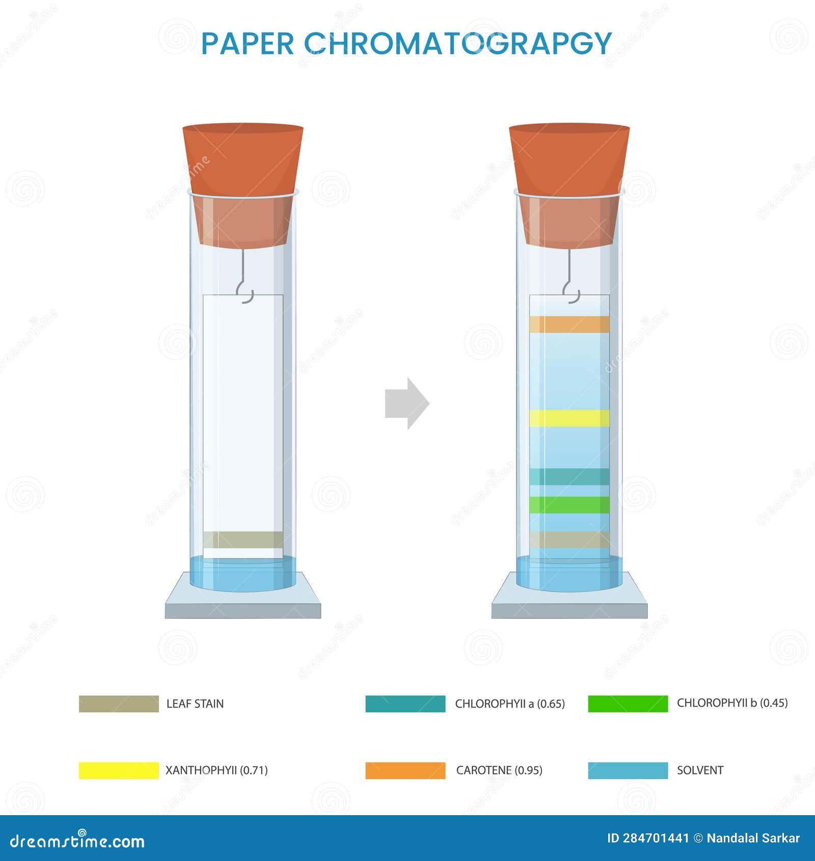Paper Chromatography, Separates Components Based On Differential ...