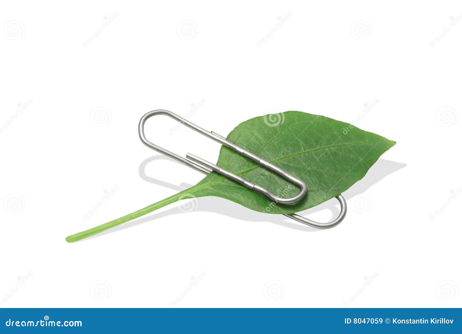 Paper clip with leaf stock image. Image of leaf, equipment - 8047059