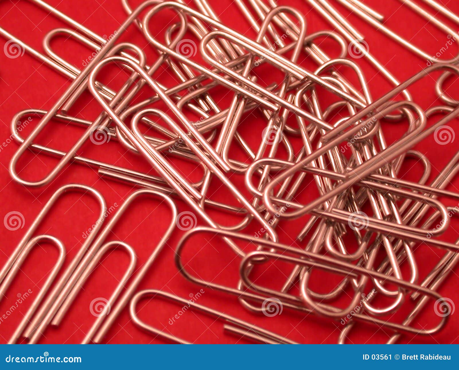 Paper Clips stock image. Image of business, fasteners, school - 3561