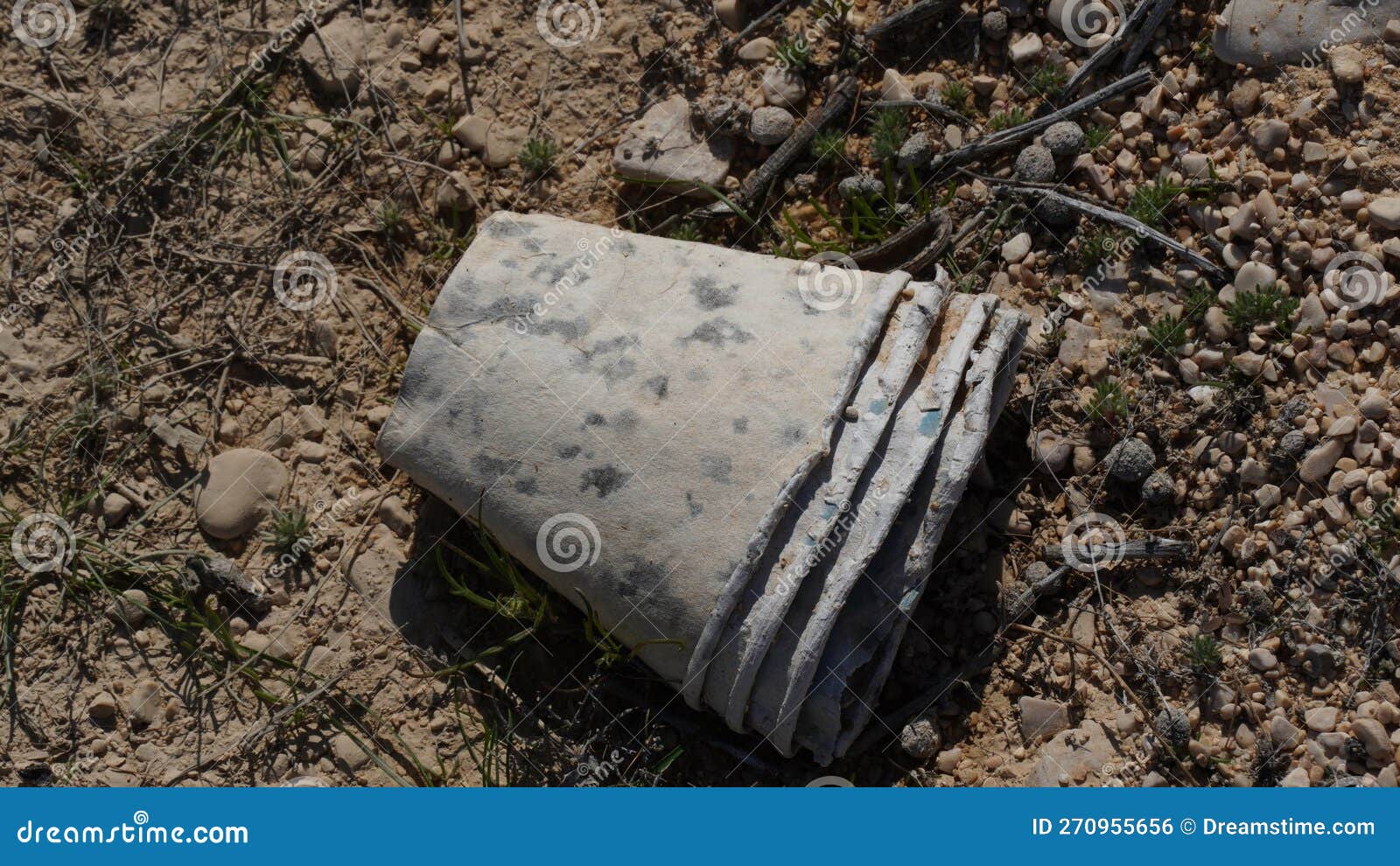 Paper Coffee Cups Discarded in Nature. Negev Desert Stock Photo - Image ...