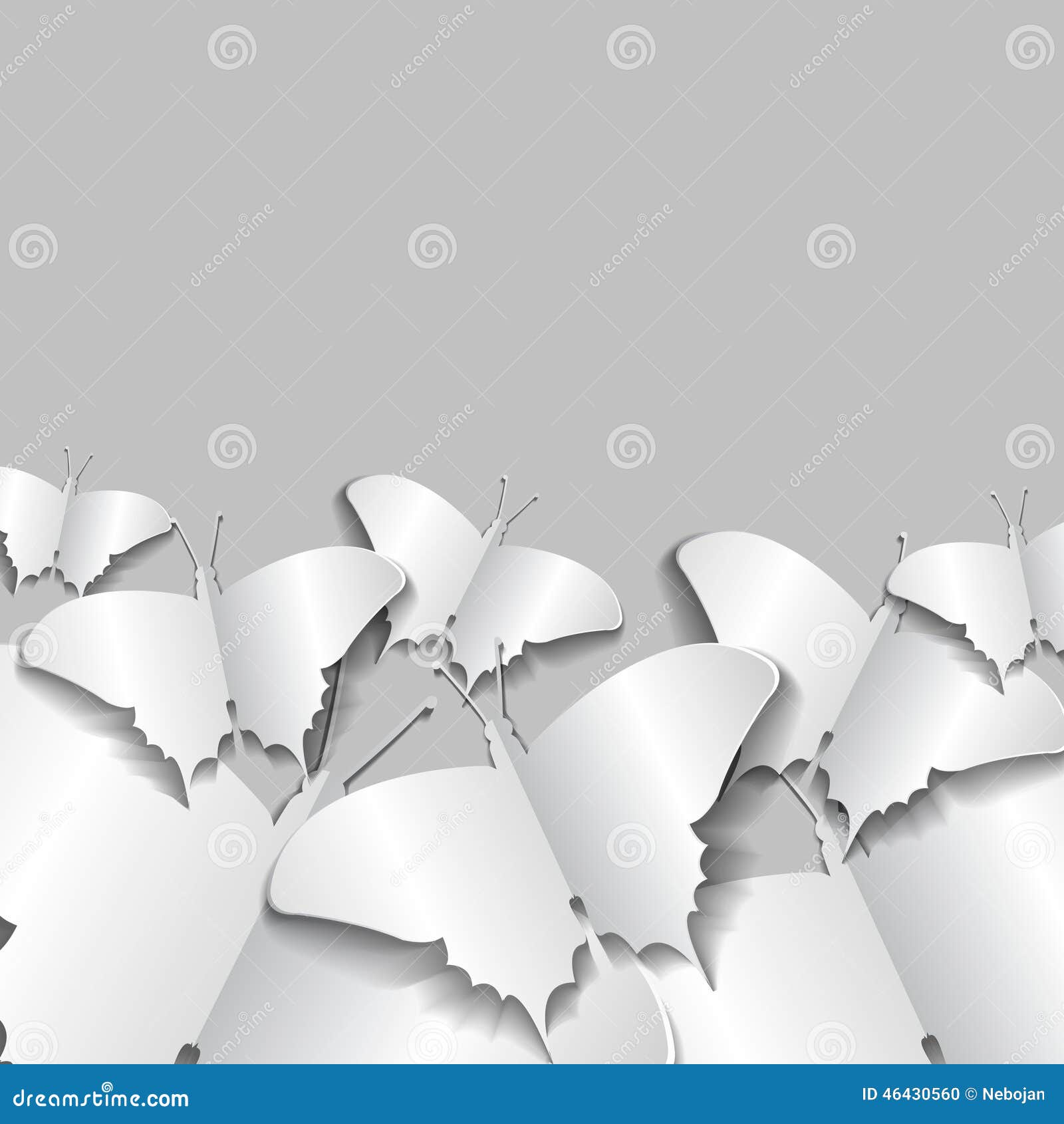 Convex Butterflies Stock Illustrations – 11 Convex Butterflies Stock ...