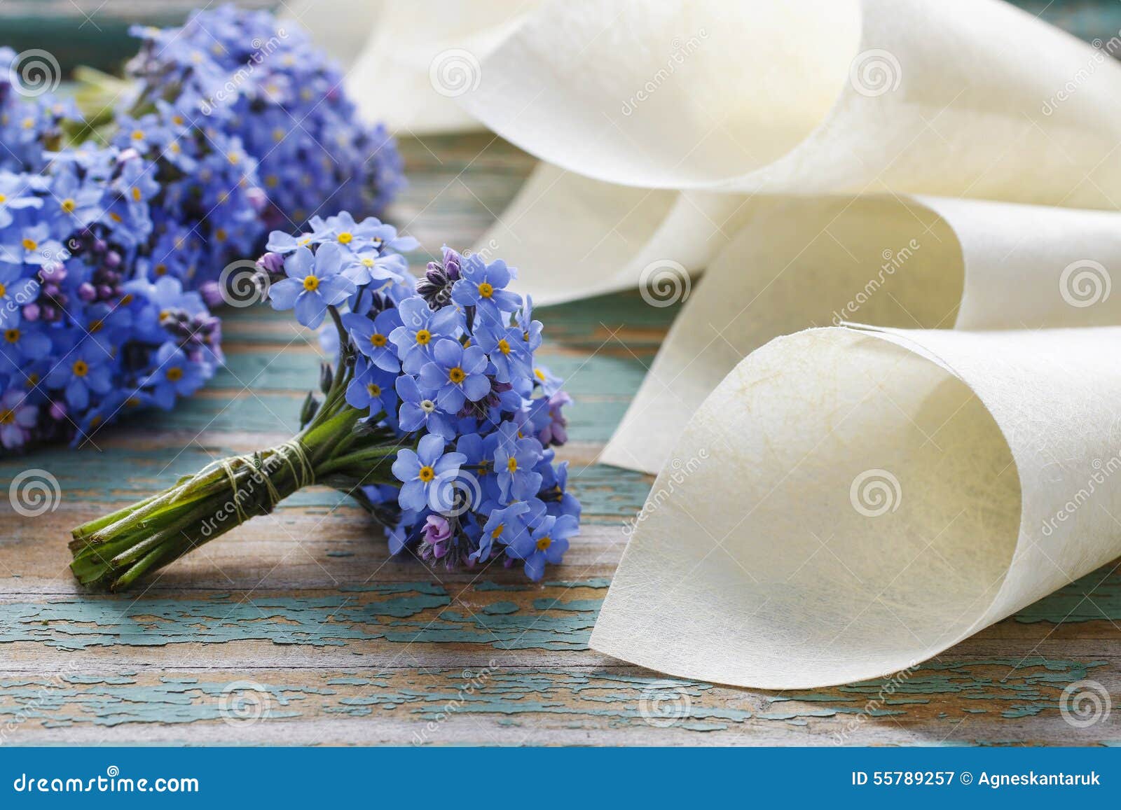 Paper Cornets with Forget-me-not Flowers (Myosotis) Stock Image - Image ...