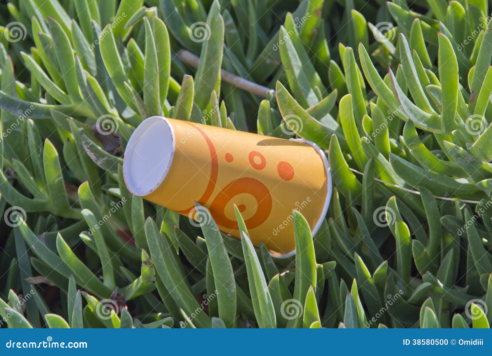 Paper cup in nature stock photo. Image of container, conceptual - 38580500