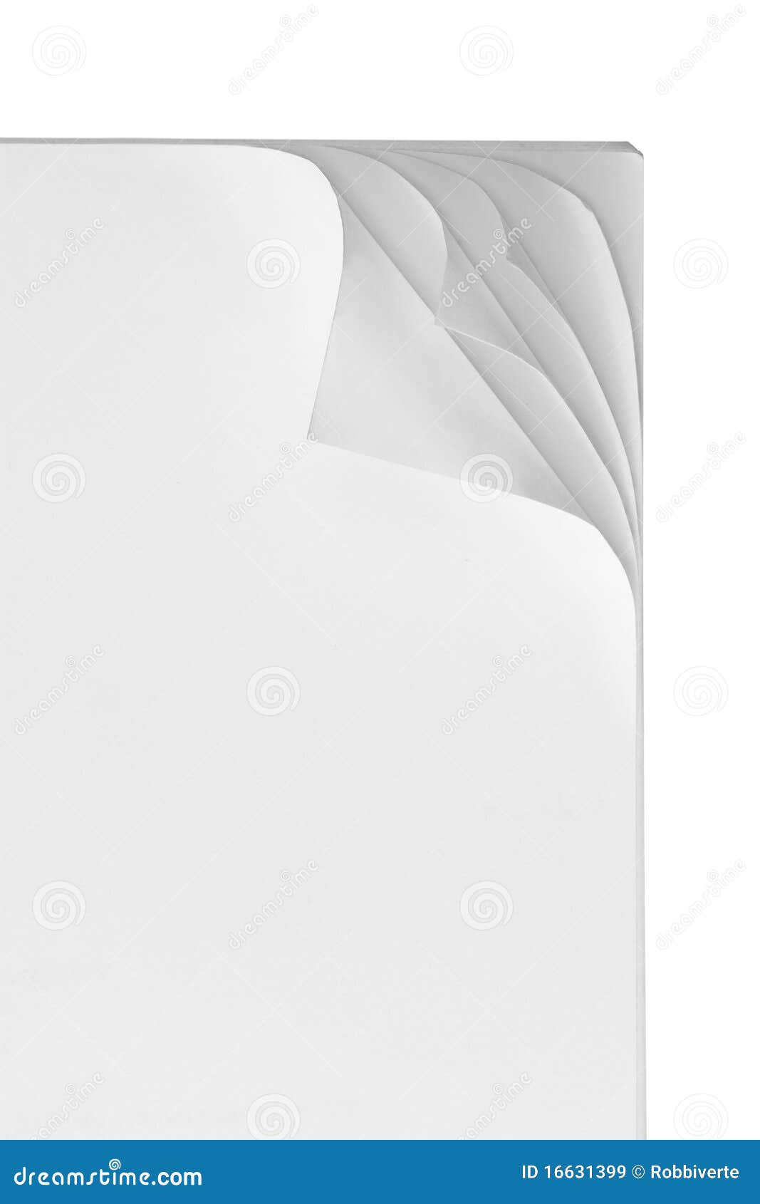 Paper curl stock image. Image of banner, office, clear - 16631399