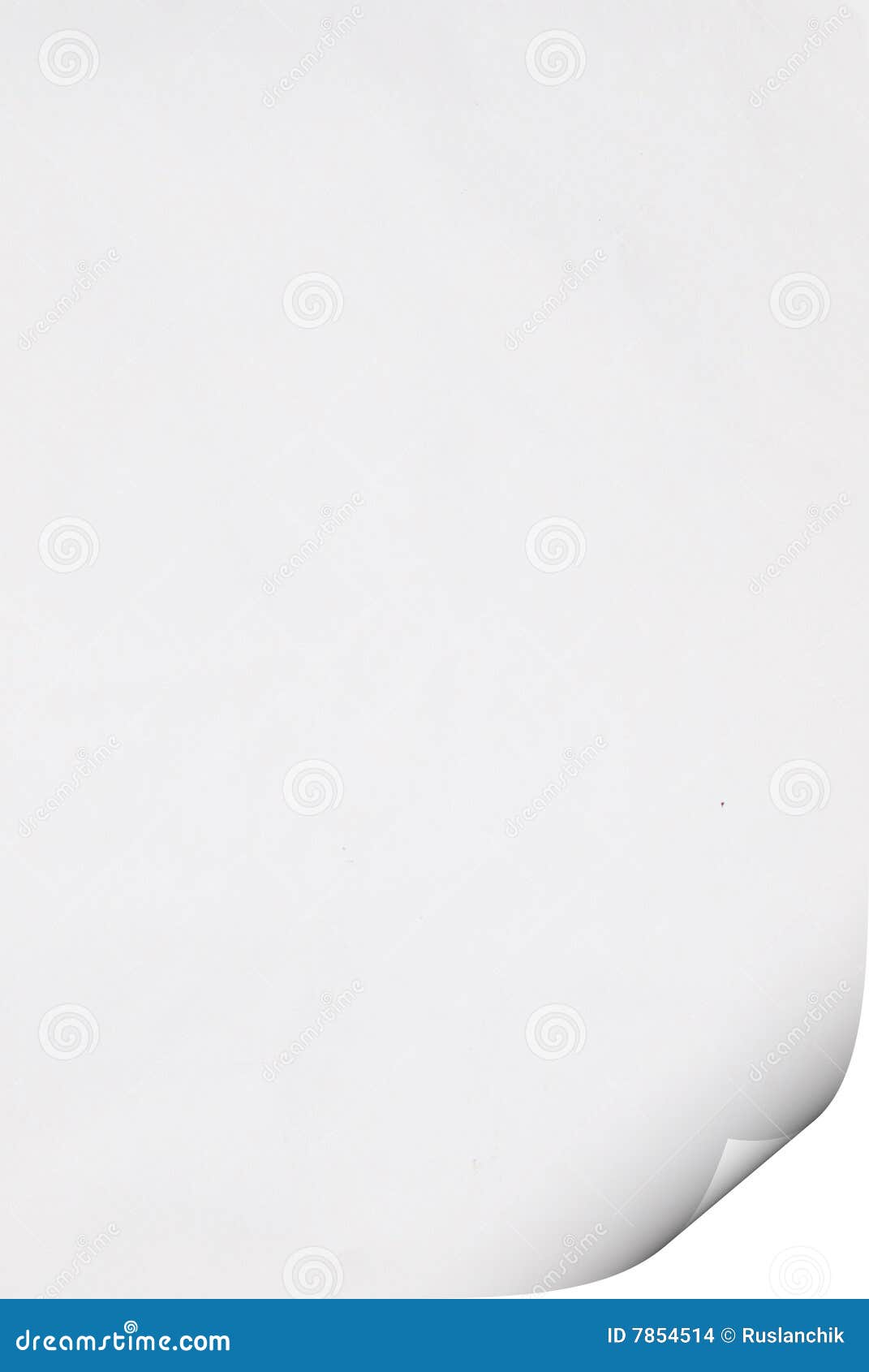 Paper with curl stock photo. Image of blank, border, office - 7854514