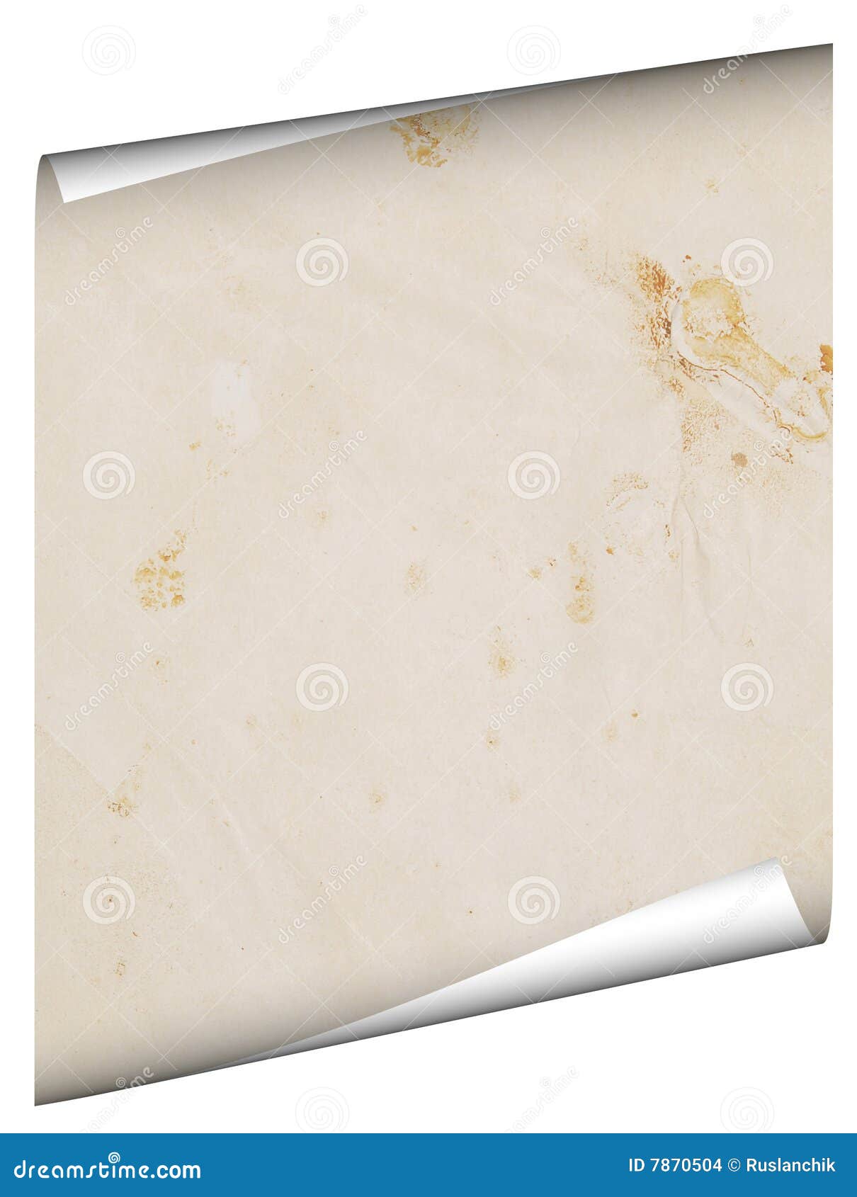 Paper with curl stock photo. Image of board, curl, border - 7870504