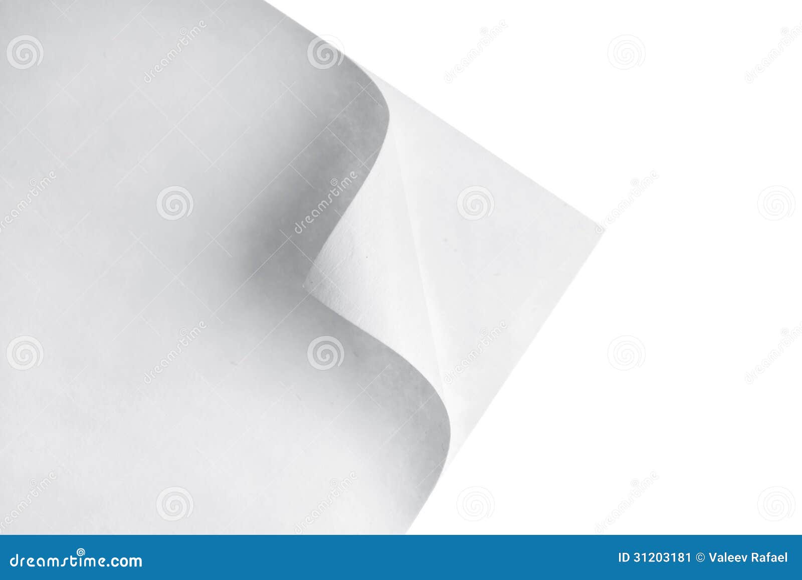 Paper with curl stock image. Image of backgrounds, single - 31203181