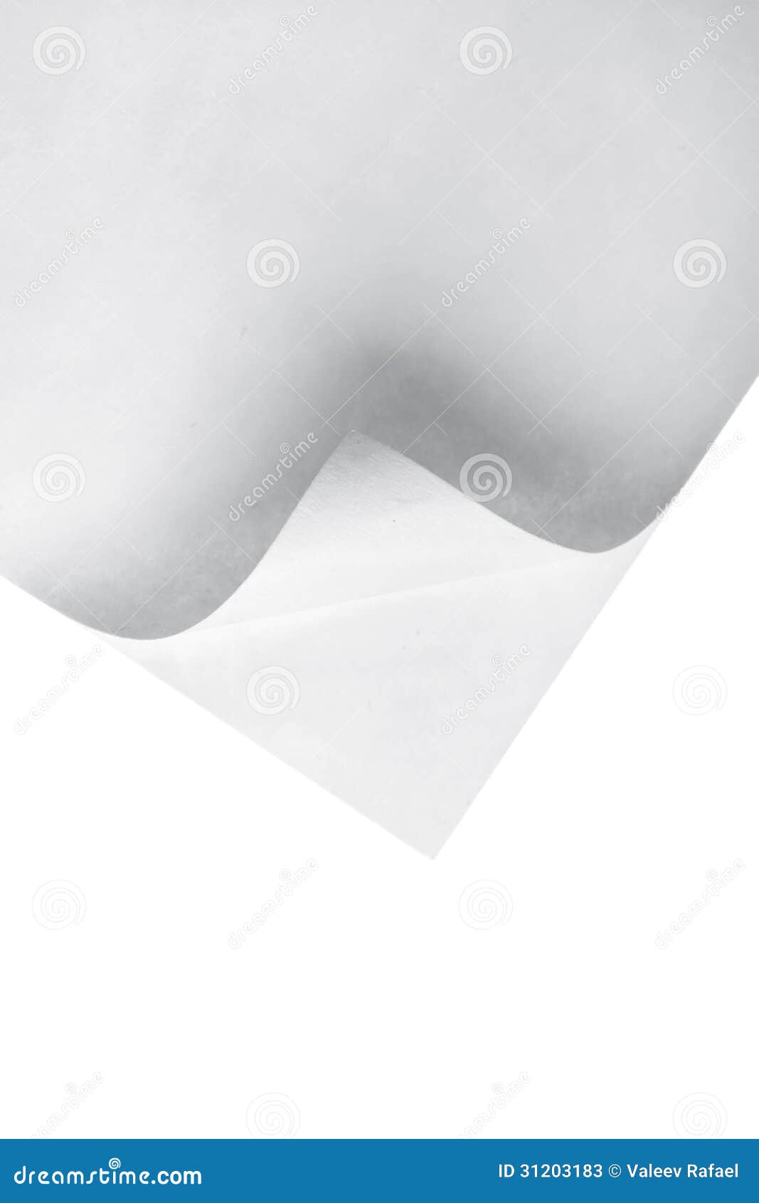 Paper with curl stock image. Image of abstract, education - 31203183