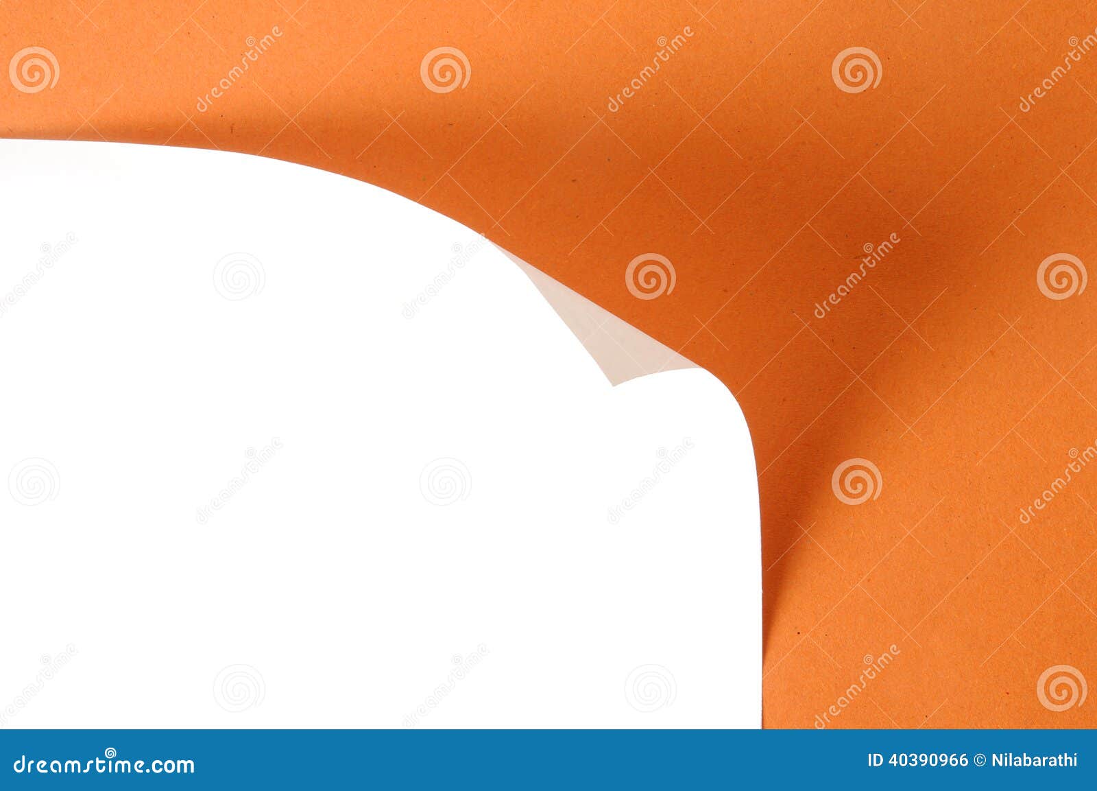 Old Paper With Curl Stock Photography | CartoonDealer.com #13911938