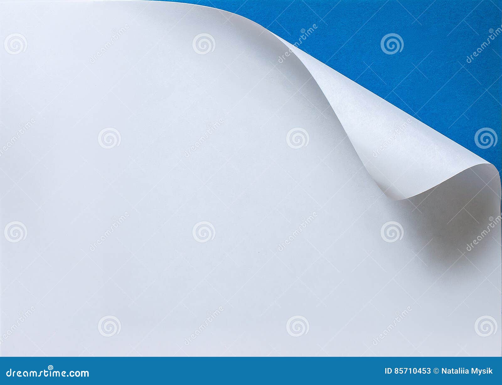 Paper with curled edge. stock image. Image of bend, office - 85710453