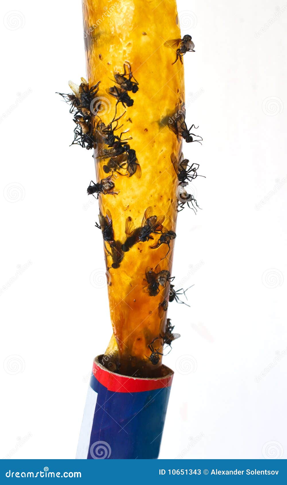 Paper for Destruction of Flies Stock Image - Image of close, stick ...