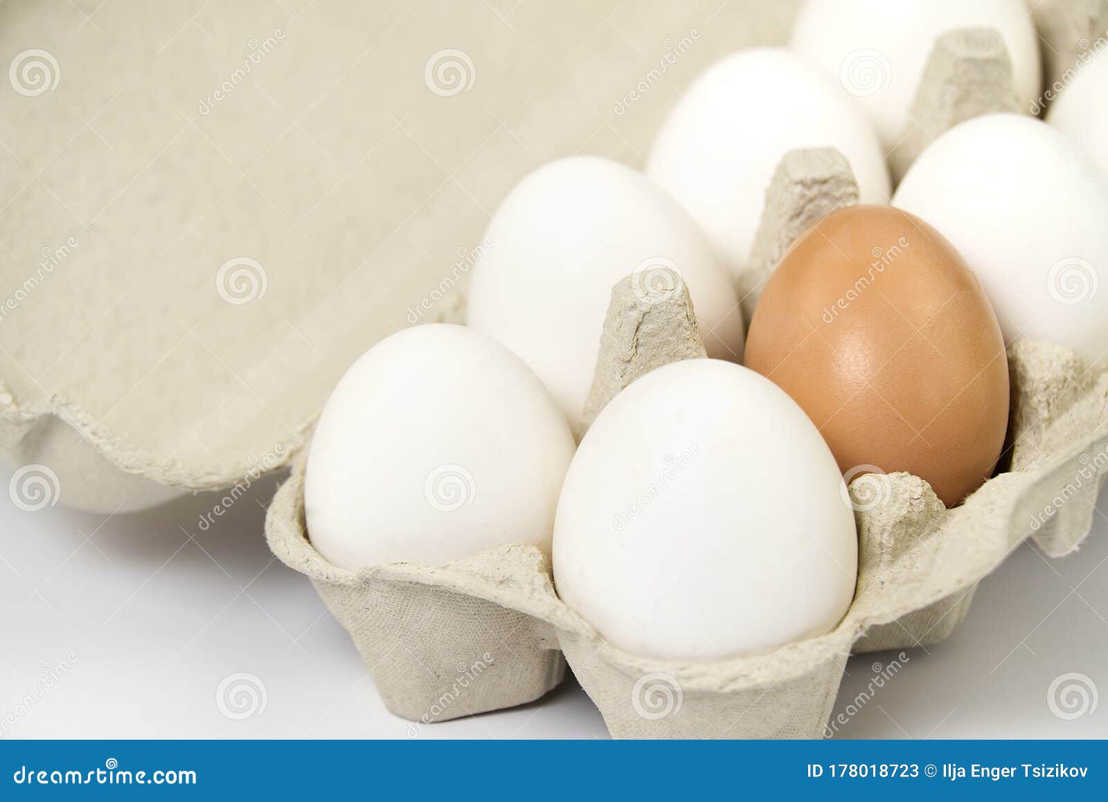 Paper Egg Tray with White Eggs. Chicken White Eggs Close Up Stock Image ...