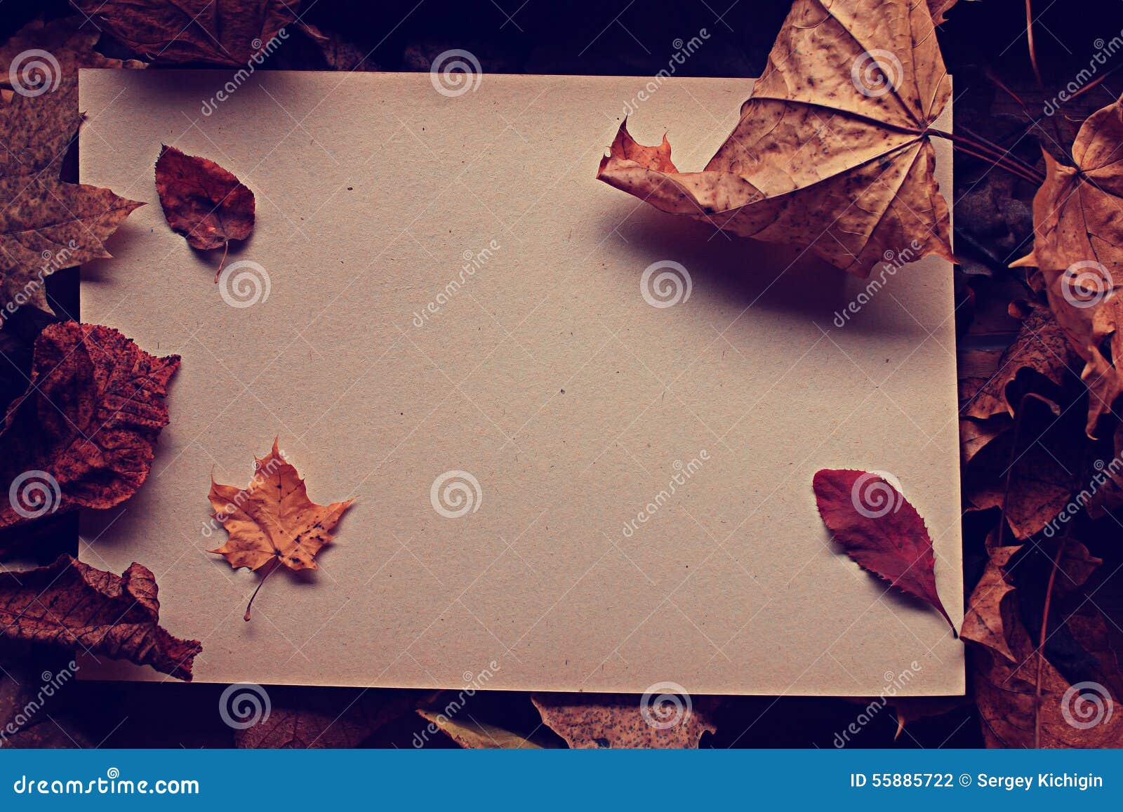 Paper with fallen leaves stock photo. Image of autumn - 55885722